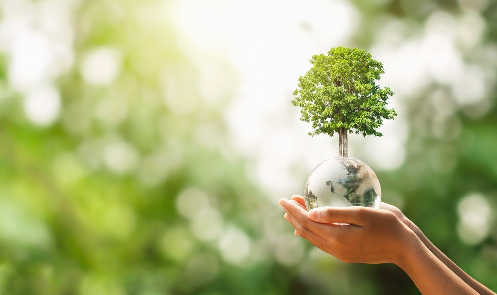 The Tree of Life: Exploring the Ancient Symbol and Its Enduring Meaning ...